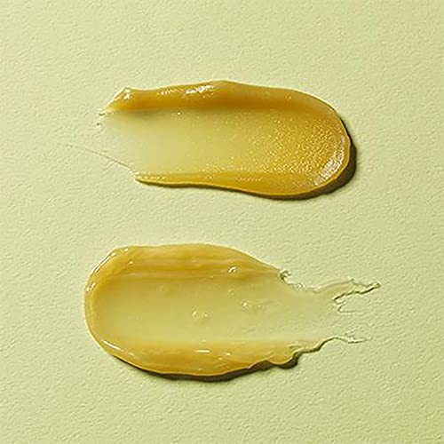 innisfree Green Tea Hydrating Lip Sleeping Mask Overnight Balm Moisturizer, 0.59 Ounce (Pack of 1)
