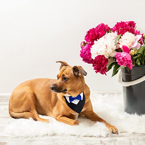 URROMA 1 Pack Blue Bow Formal Dog Tuxedo Bandana, Adjustable Blue Dog Wedding Collar Pet Costume Neckerchief for Small Dogs and Cats, L