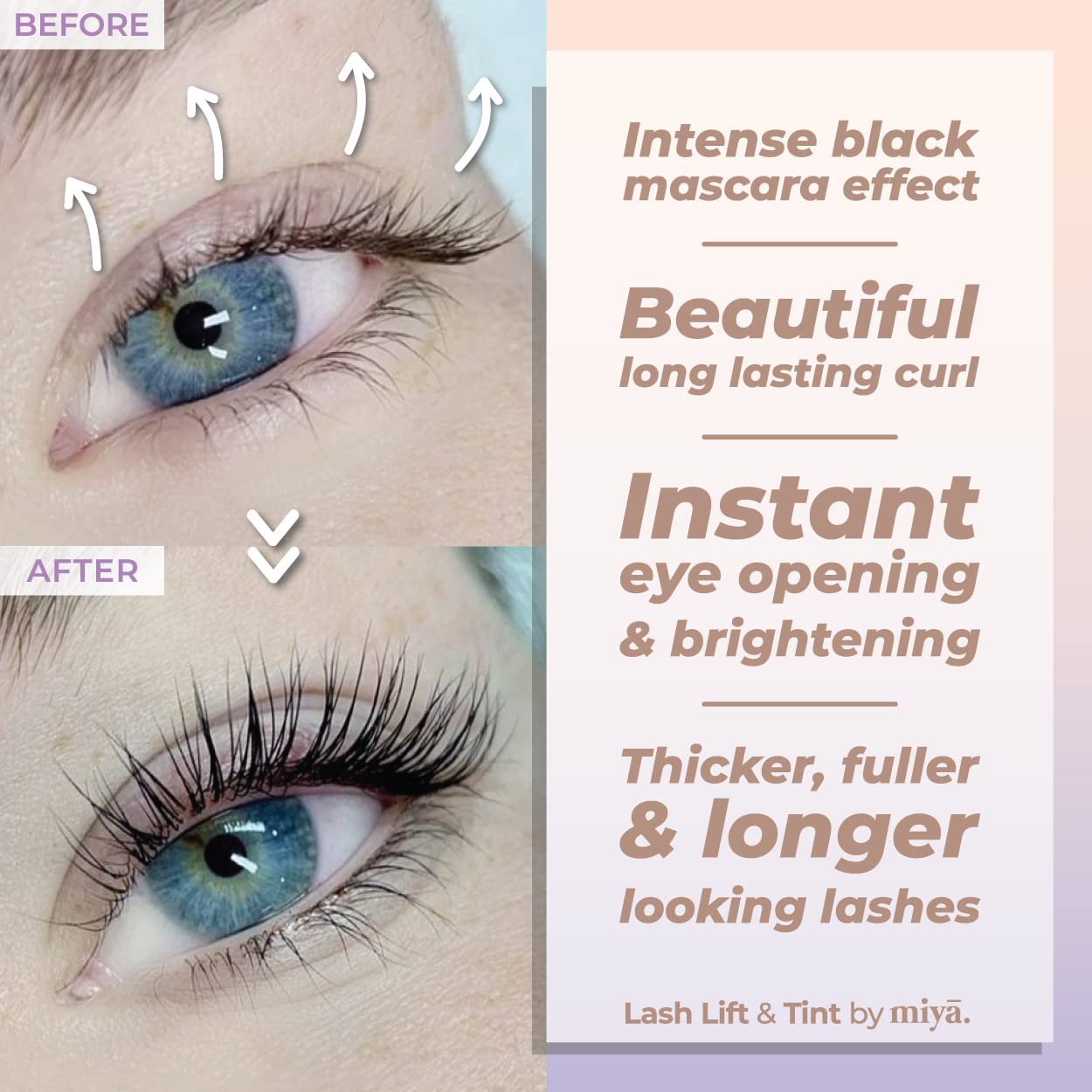 MIYA LASH Lash Lift & Brow Lamination Kit | Black, Voluminous Eyebrows & Eyelashes Color Kit | Professional 8 Weeks Result | LVL, Perm, Laminate | Keratin Brow Lift & Lash Lift Kit with All tools