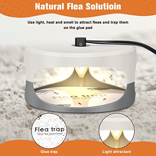 UPYEAL Flea Trap 2 Packs β Premium Traps for Inside Your Home Natural and Child-Friendly Light Indoor with Glue Discs Refills LED Lightbulb