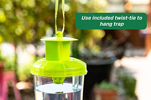 RESCUE! WHY Trap for Wasps, Hornets, & Yellowjackets β Hanging Outdoor Trap