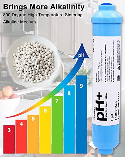 Ph+ Alkaline Water Filter Cartridge Improve Body Vitality Reverse Osmosis Filters Improves Taste Water Filter Replacement Mineralizes Water Filter Cartridge for Ro System