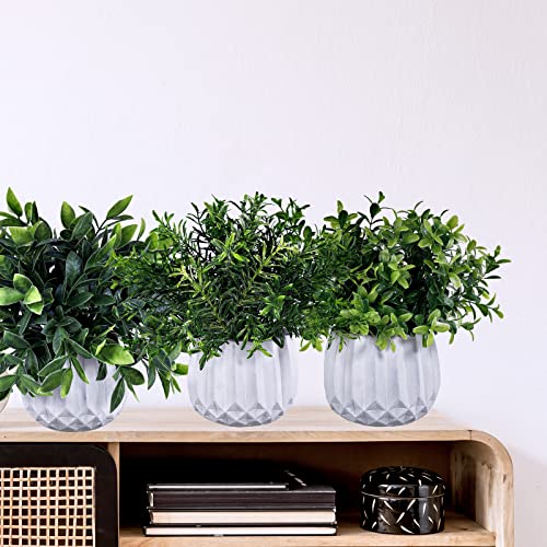 Winlyn 3 Pcs Faux Potted Plants Set - Artificial Eucalyptus, Rosemary, Boxwood Greenery in Small White Geometric Planters for Indoor Outdoor Desk Table Centerpiece Shelf Windowsill Home Office Decor