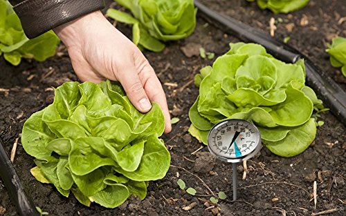Stainless Steel Soil Thermometer by Smart Choice| 127mm Stem, Easy-to-Read 1.5β Dial Display, 0-220 Degrees Fahrenheit Range | Soil Temperature Thermometer for Ground, Compost, Garden Soil