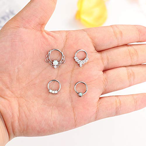 JOERICA Black Daith Earrings 16G Stainless Steel CZ Opal Cartilage Helix Tragus Hoop Earrings Hinged Segment Clicker 8MM Septum Ring Piercing Jewelry