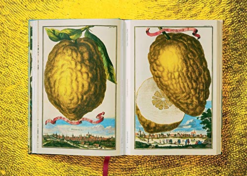 J. C. Volkamer The Book of Citrus Fruits: The Complete Plates 1708-1714, Numbered Edition 0971
