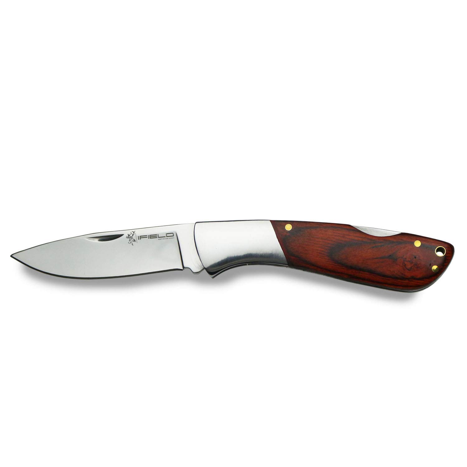 iFIELD Camper EL29045 Folding Knife, Stamina Handle, Colour Box, 3 inch. Stainless Steel Blade, Camping Tool for Fishing, Hunting, Sport Activity