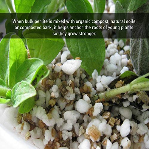 PVP Industries PVP105408 120 Quarts β 4 Cubic Foot of Organic Perlite Planting Soil Additive Gi, White