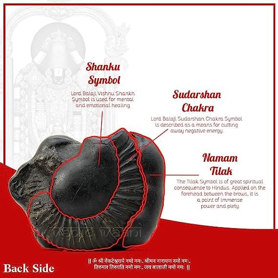 Vedic Vaani The Rarest Sculpture Laksmi Narayana Sacred Blessings Shaligram (Pack of 3)