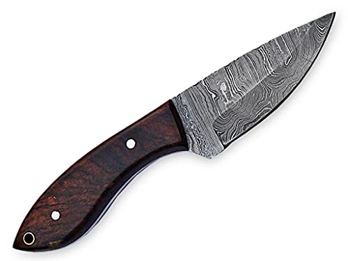 MMA 8inch Custom Handmade Damascus blade knife/Fixed blade knife with sheath/Fixed Blade Knives/Skinning Knives/Hunting Knives/EDC Knives (Brown)
