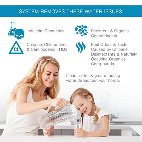 Premier Whole House Salt-Free Water Softener/Conditioner 20 GPM and Backwash Carbon Filtration System w/KDF55