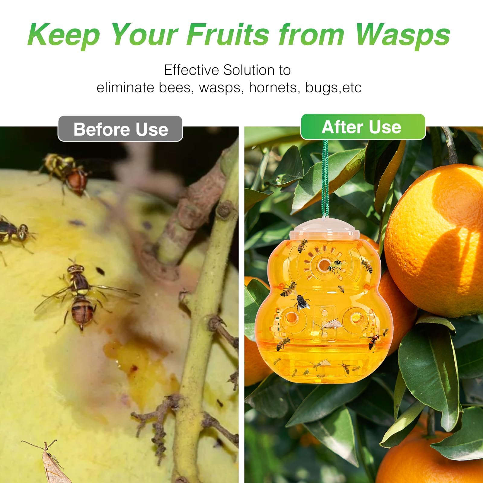Wasp Trap with 2 Baits β Reusable Hornet Catcher for Outdoor Use, Effective Carpenter Bee Deterrent, Ideal for Gardens and Patios 2 Packs