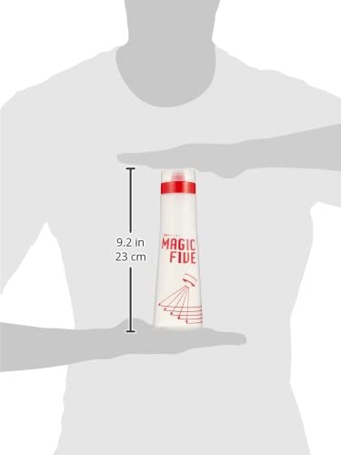 遠藤商事 Endoshoji BDI405 Magic Five Condiment Container, Commercial Use, 6.8 fl oz (200 cc), Red, Made in Japan