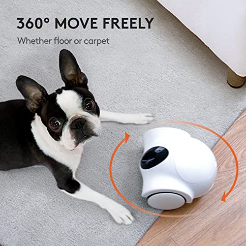 Smart Pet Camera, GULIGULI Movable Companion Robot for Pets, Dog Treat Camera, 1080P Full HD WiFi Pet Camera with Phone App, Night Vision, 2-Way Audio, No Monthly Fee (2.4G WiFi ONLY)