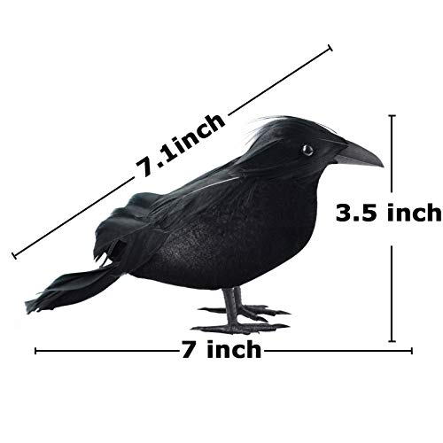 Realistic Crow, 6 PCS Halloween Black Feathered Crow Decoys Ravens Outdoor Halloween Decorations Props Décor, Standing Flying Birds for Tree Haunted House Graveyard Tombstone Display