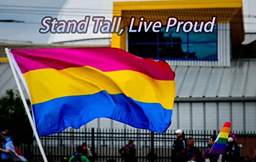 Pansexual Flag - Lgbtq Pride Stuff for Wall, Four Rows of Stitching, with 1pc Pansexual Pin and 2pcs Random Rainbow Stickers, for Lgbtq Parade and Daily Use, 3x5 Ft