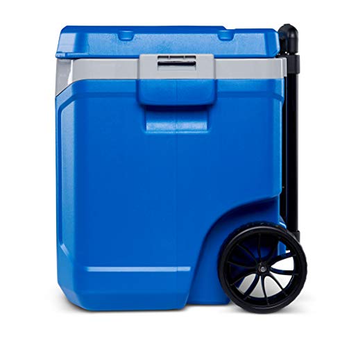 IGLOO Outdoor Latitude 60 Cool Box, Blue, 56 Liter
