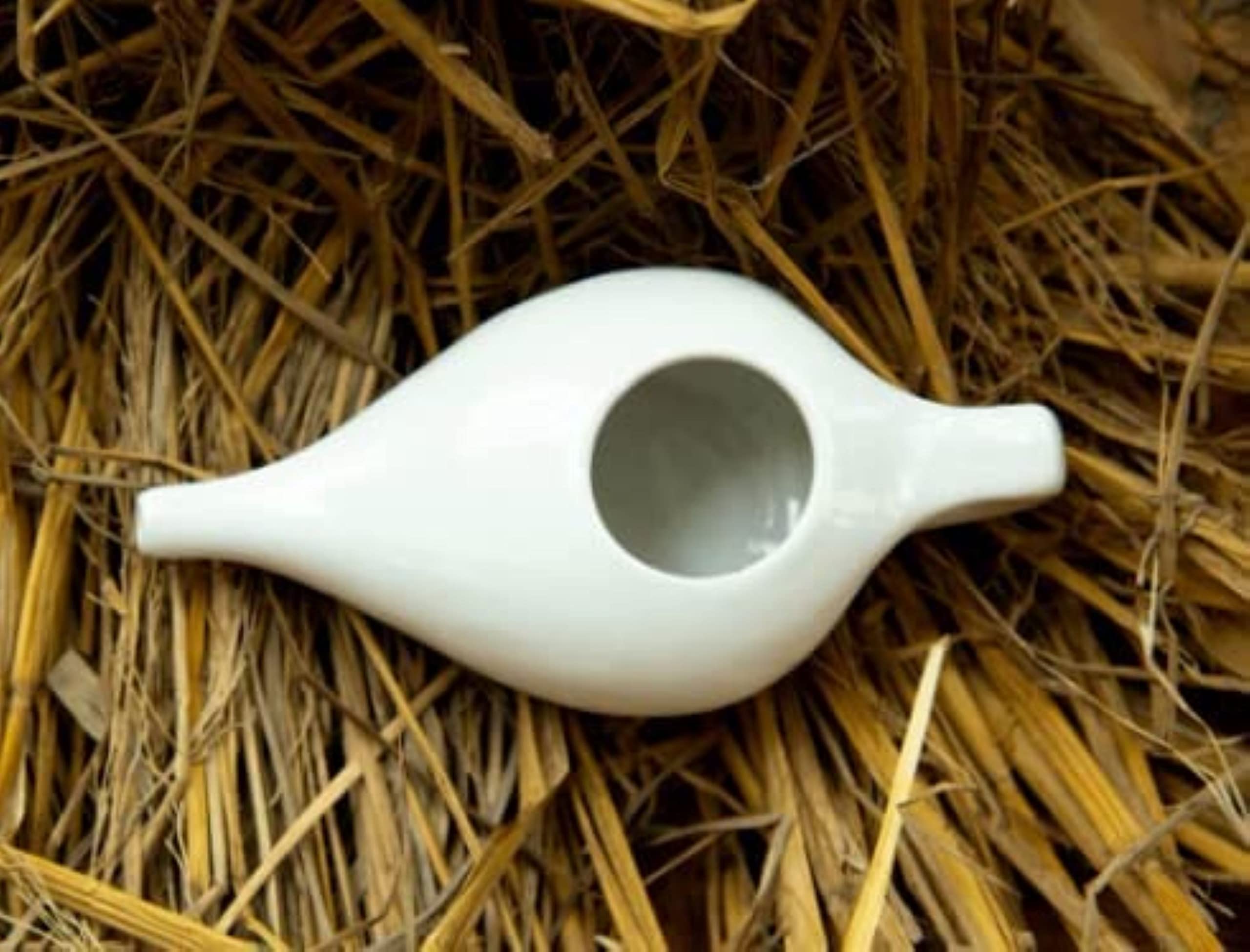 Handmade Ayurvedic Ceramic Neti Pot for Nasal Cleansing & Sinus| Premium Handcrafted Durable, Dishwasher Safe, for Nasal Cleansing + 5 Sachet Neti Salt, 225 Ml. (7.6 FL Oz) Capacity -White Color