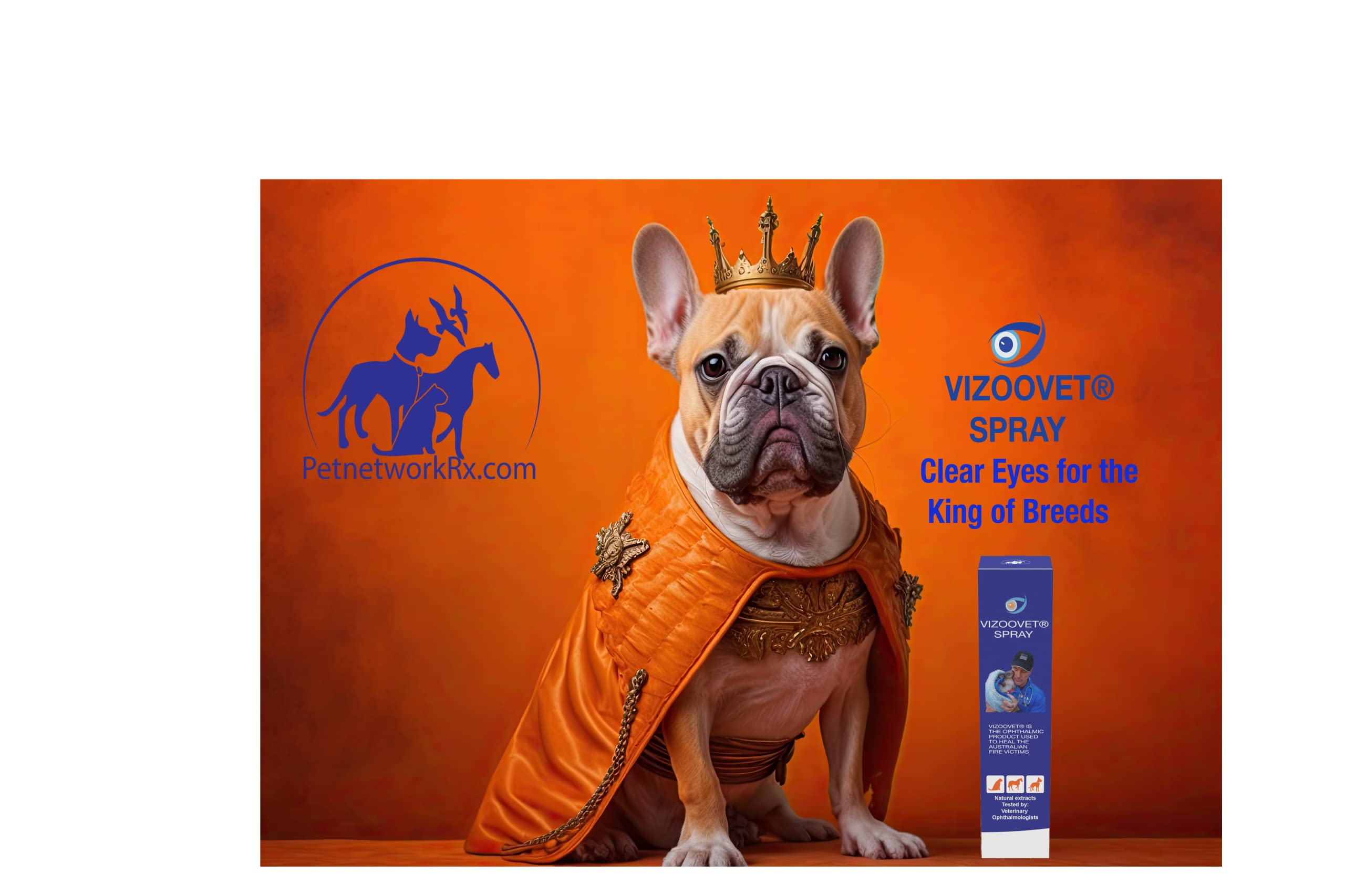 Vizoovet Mist