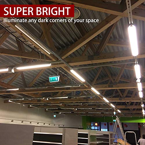 Kihung T8 LED Bulbs 4 Foot Type B Dual-Ended Power, Compatible with T8 T10 T12 Tubes, Remove Ballast, G13 Base, 24W 3120LM 6000K Daylight White, 4ft Led Light Bulbs Replacement, 4-Pack
