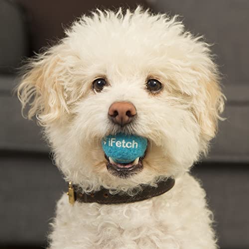 iFetch Mini Tennis Balls for Small and Medium Dogs, Toy Ball 5 Pack, Use Automatic Launcher Frenzy Brain Game, Blue, 1.5 Inch Diameter