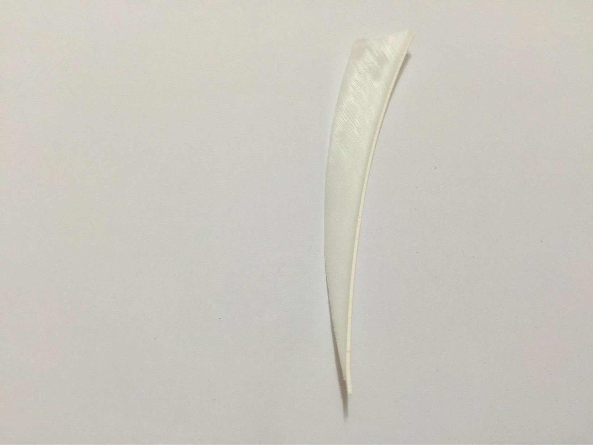 JIEXI HWYP Archery Fletches 5" Turkey Feather Shielded Shape Pack of 100 (White, Left Wing)