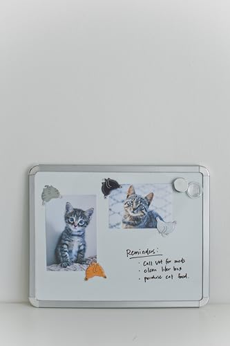 Pearhead Cat Bum Kitchen Magnets, Pet Themed Refrigerator Magnets, Cat Lover Home Décor, Funny Novelty Gift, School Locker Accessories, Set of 4