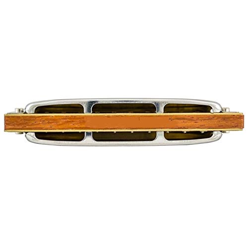 WAAZVXS Blues Harp 532/20 Diatonic Harmonica 10 Holes 20 Tone Mouth Organ Key C Musical Instruments (Color : Key A)