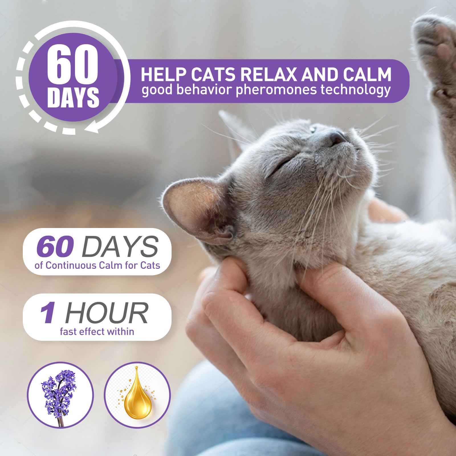 TachengMc 4 Pack Calming Collar for Cats, Cat Collars Efficient Relieve Reduce Anxiety Stress,Make Comfortable Relaxed,Pheromones Collar, Cat Calming Collar Kitten Supplies, Lasting 60 Days, Rainbow