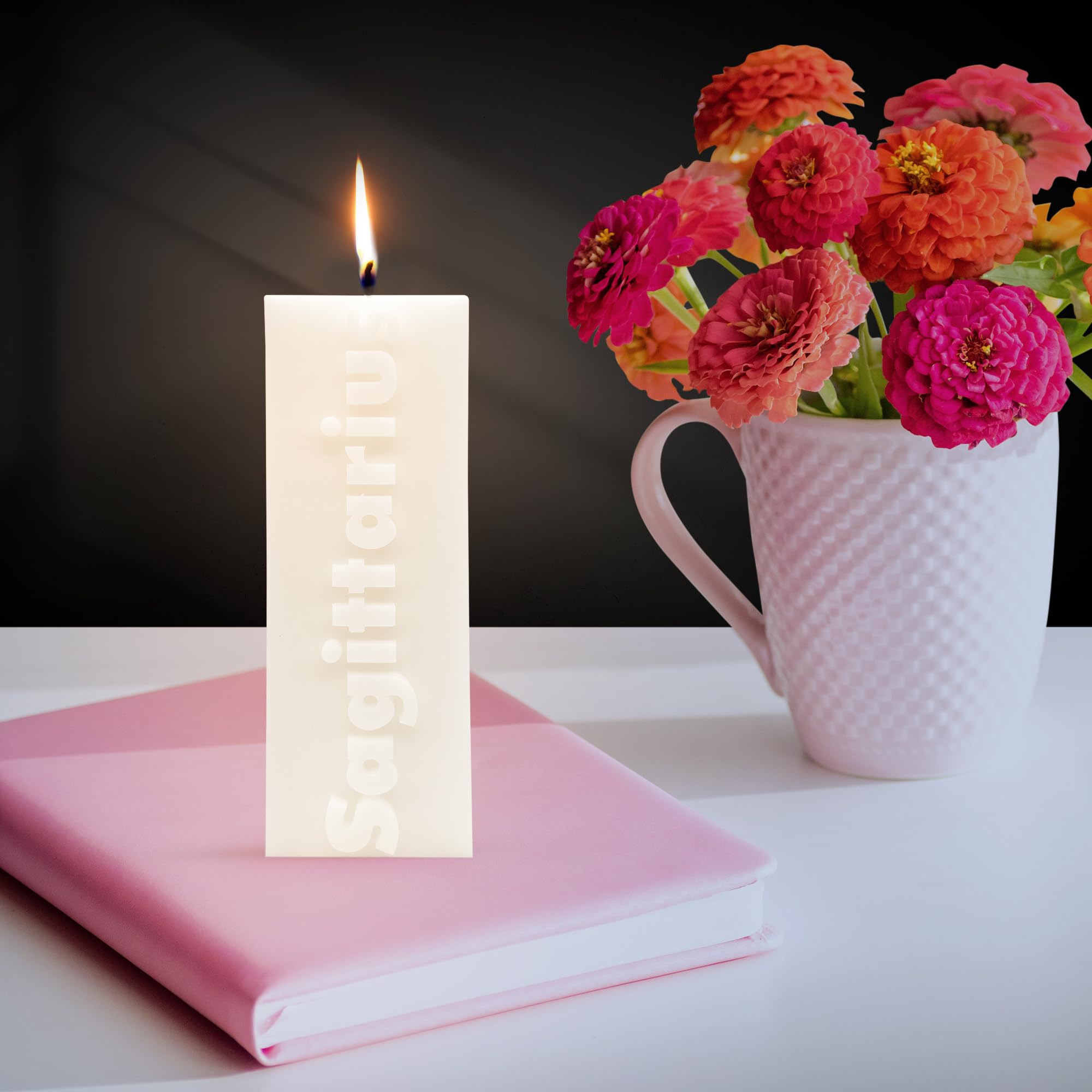 Zodiac Pillar Candles/Astrology/Leo/Virgo/Cancer/Aries/Gemini/Pisces/Libra/Capricorn/Sagittarius/Taurus/Aquarius/Scorpio (Scorpio)