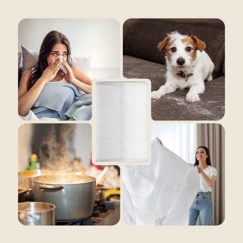 Welov P200S/P200 PRO Air Purifier Replacement Filter, 3-in-1 H13 True HEPA and High-Efficiency Activated Carbon Filter for Pet Hair Dander Smoke Pollen Dust Mite Kitchen Smells Odor