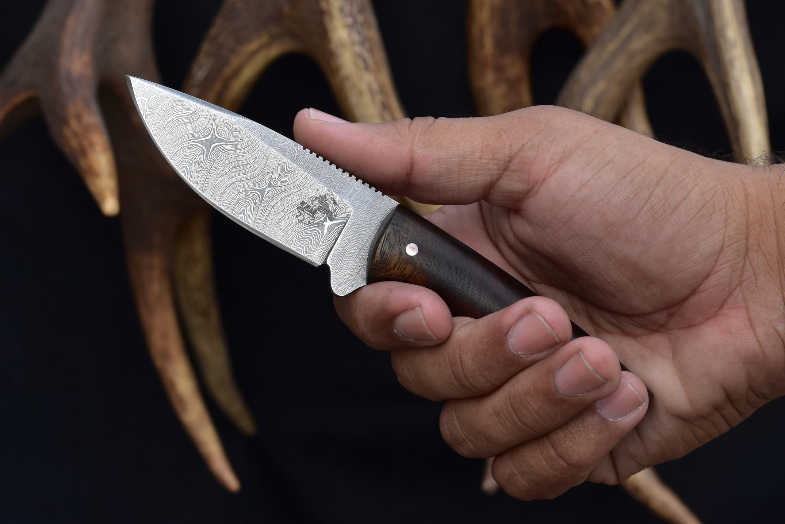 Knives Ranch Fixed Blade EDC Knife with Horizontal Carry Sheath β Small Hunting Knife β Damascus Skinning Knife β Cowboy Knife with Leather Sheath Stabilized Rosewood Handle (4402-IRW)