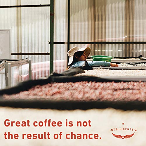 Intelligentsia Coffee, Medium Roast Whole Bean Coffee - Frequency Blend 12 Ounce Bag with Flavor Notes of Golden Raisin, Raw Sugar and Molasses