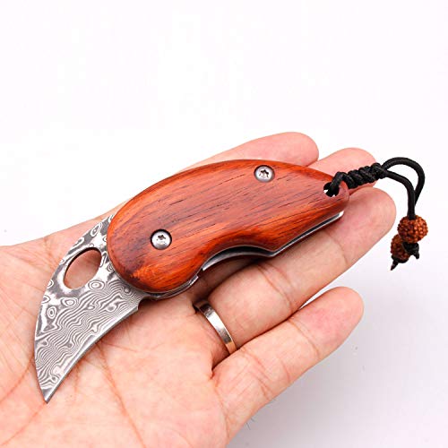 Samior Small Penguin Damascus Mini Karambit Folding Pocket Knife, 1.38" Claw VG10 Blade with Thumb Hole Open, Rosewood Handle with liner Lock and Lanyard Leather Sheath, 2.1oz
