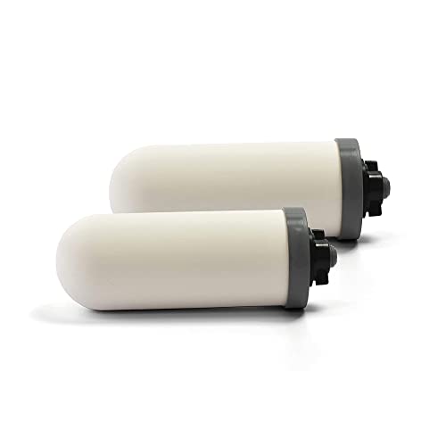 ProOne Pair of 5-inch Prepper Replacement Filters for ProOne Scout II Gravity Water Filter System, Independently Tested Proven to Reduce PFAS