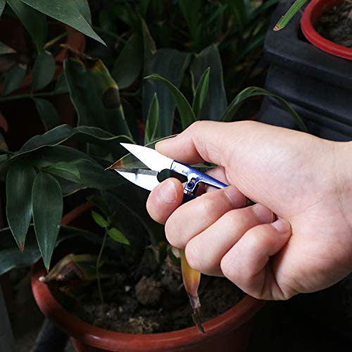 Sanlykate Bonsai Tool Kit 8pc, Basic Trimmer Set Include Pruner, Fold Scissors, Tweezer, Spades, Rake