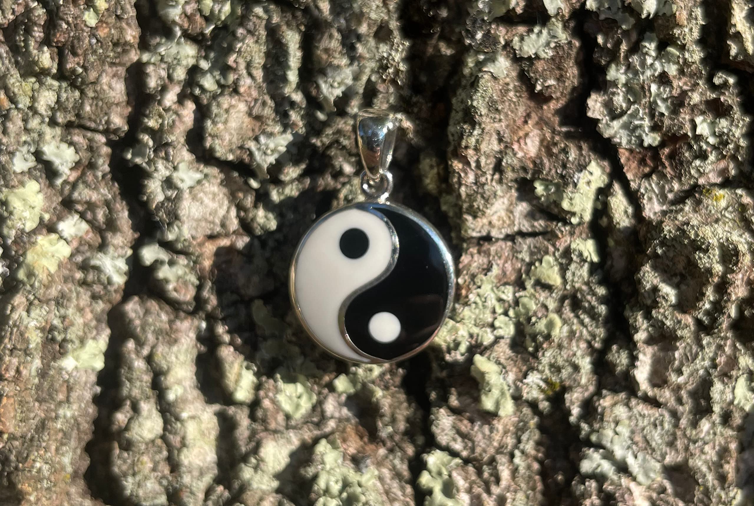 Jewelry Trends Sterling Silver Yin Yang Black and White Balance Symbol Tao Pendant