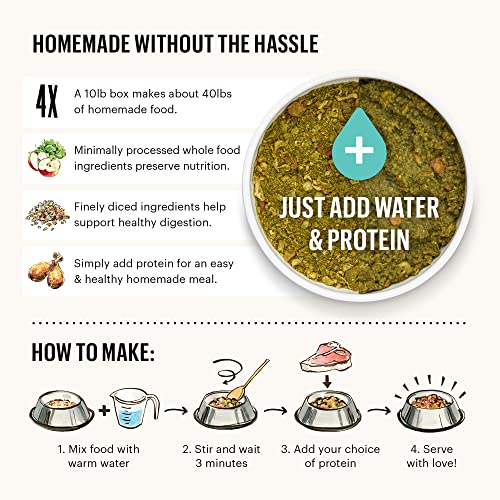 The Honest Kitchen Human Grade Dehydrated Grain Free Veggie, Nut & Seed Base Mix for Dogs 3 lb - Kindly