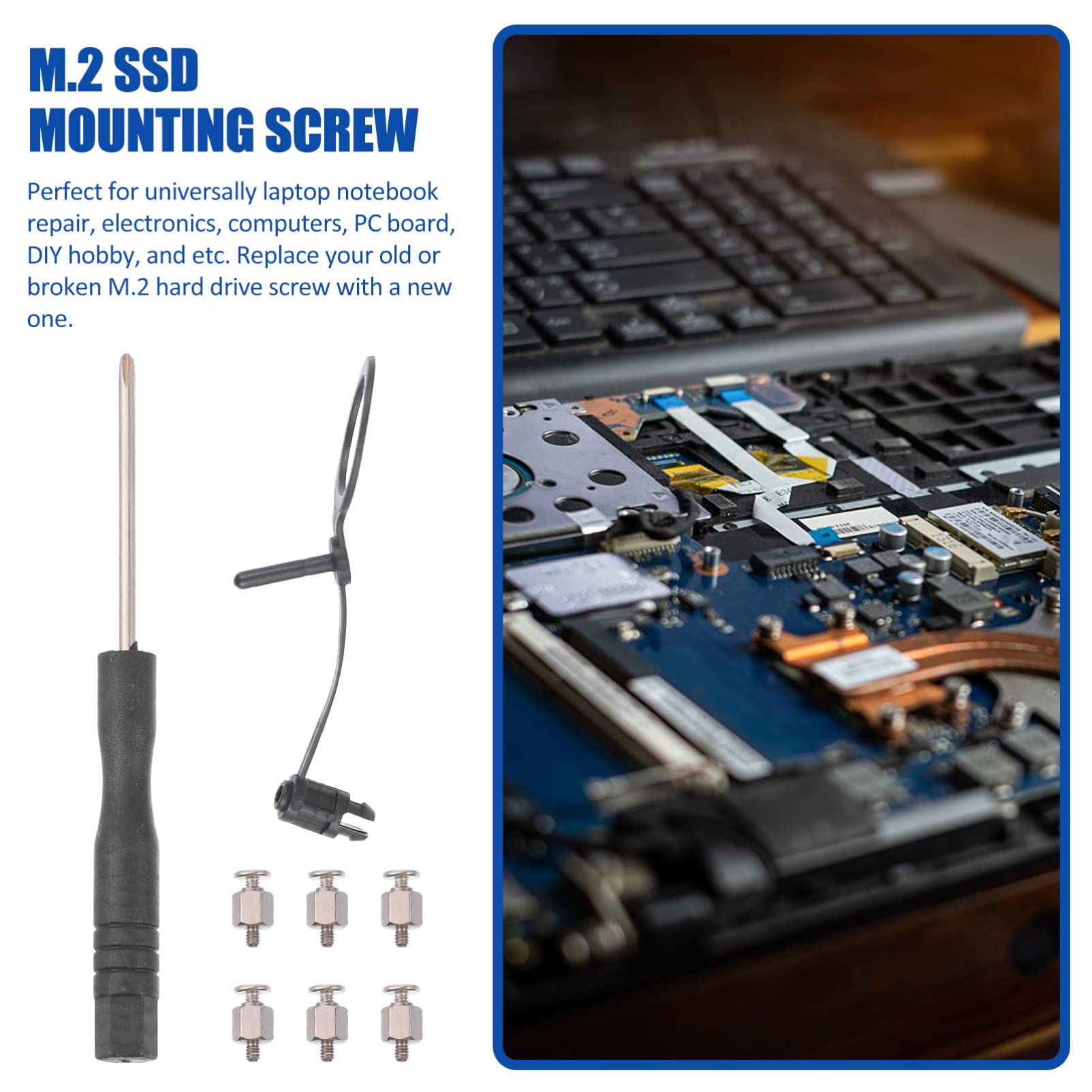 SOLUSTRE Laptop 1set Hex Fastener Disk Computer Ssd for Replacement M. Anchor Cross Screw Nut Standoff Hard Mounting Screwdriver Head Laptops