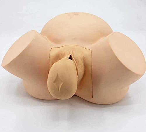 WFZY Demonstration Female Childbirth Manikin Advanced Midwifery Training Model Obstetrics and Gynecology Delivery Maternity Simulator for Nursing Medical Teaching