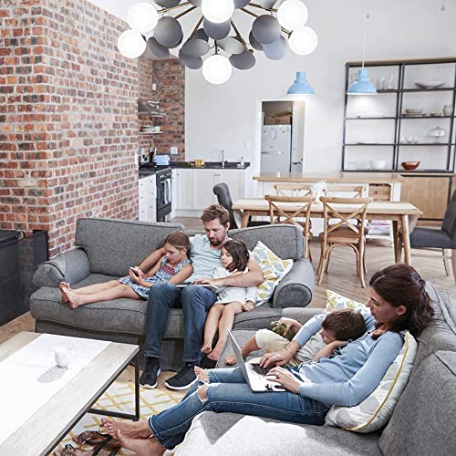LEDERA 150 Watt LED Light Bulbs, Daylight White 5000K, 2500 Lumens Super Bright LED Bulbs, E26 Base, A21 LED Bulbs 23W Energy Saving, Non-Dimmable Bulbs for Living Room Bedroom Garage Office, 12 Packs