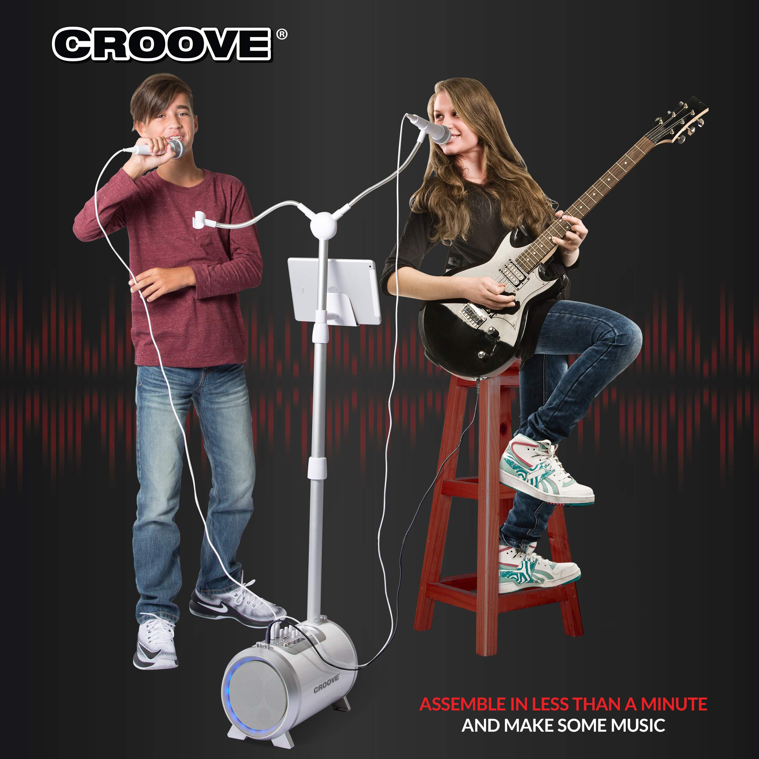 Karaoke Machine for Adults and Kids with 2 Microphones β Potable Karaoke Machine with Stand β Professional Wireless Machine Supports USB, AUX, SD, and Bluetooth