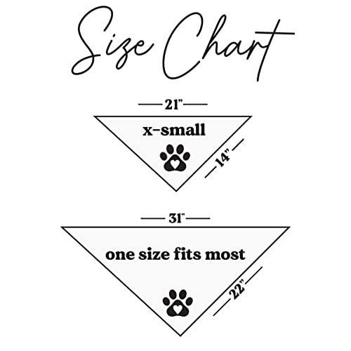 Smalls Matching 90's Hip Hop Dog Bandana (White, XS 407)