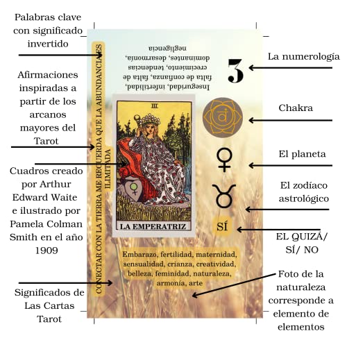 Witchy Cauldron Beginner Tarot, Tarot Cards with Meaning on it, Keyword Tarot Deck, Learning Tarot, Chakra, Planet, Affirmation (Spanish Edition)