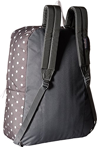 JanSport Backpack Shady Grey/White