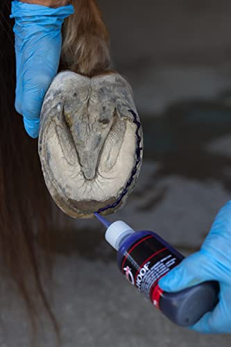 SAV-A-HOOF Gel II by SBS Equine, Hoof Treatment, Long - Lasting Time Release Formula, No Messy Waste or Run-Off (4 oz)