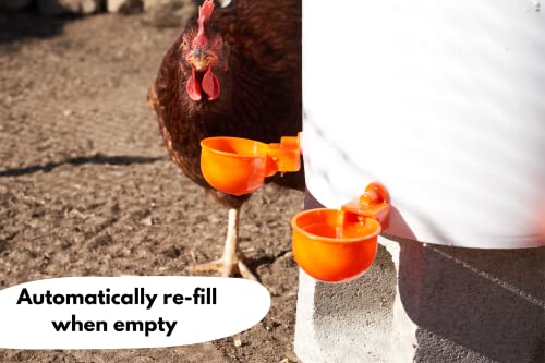 Roosty's® Chicken Waterer Cups x6 - Chicken Water Feeder Kit, Make Large Chicken Waterer 5 Gallon DIY Chicken Supplies, Chicken Water Cups, Duck Quail Waterer - Bebederos Para Gallinas,Poultry Waterer