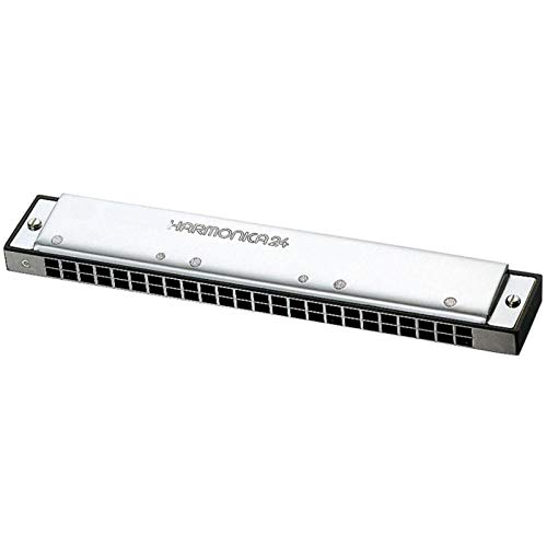 WAAZVXS Harmonica 24 Holes Key C Musical Instruments for Beginner (Color : Key C)
