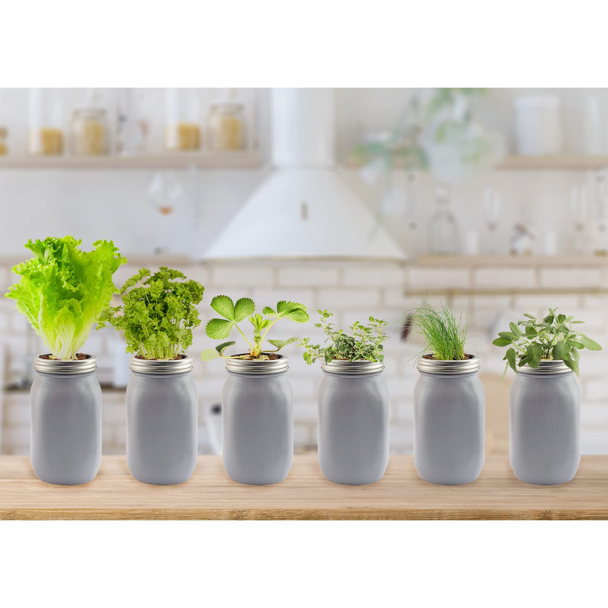 Hydroponic Mason Jar Starter Kit (10-Piece Set); w/Painted Mason Jars, Net Pots, Rockwool, Clay Pebbles and Instructions
