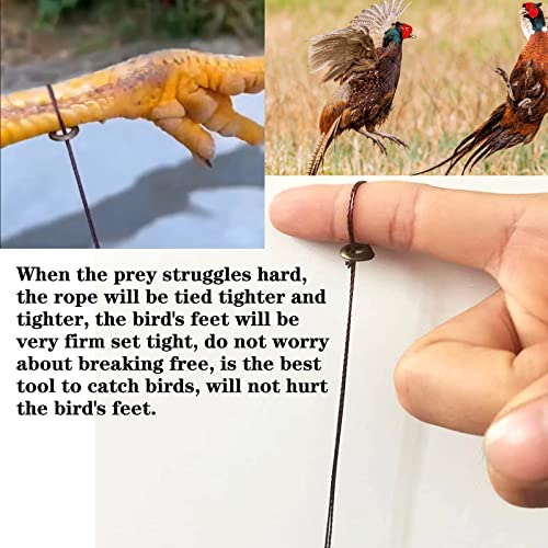 Professional Bird Trap for Chicken, Pheasant,Wild Duck, Partridge Mallard and Other Medium-Sized Birds Tying Birds' feet Won't Hurt Them